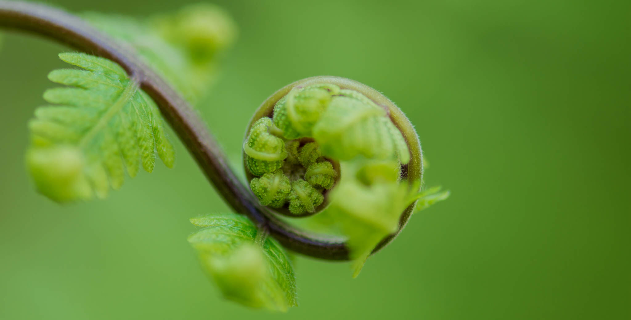 FidelityEHR Resources